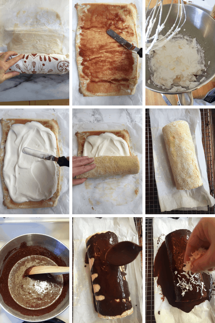 Australian Lamington Roll Cake - International Desserts Blog