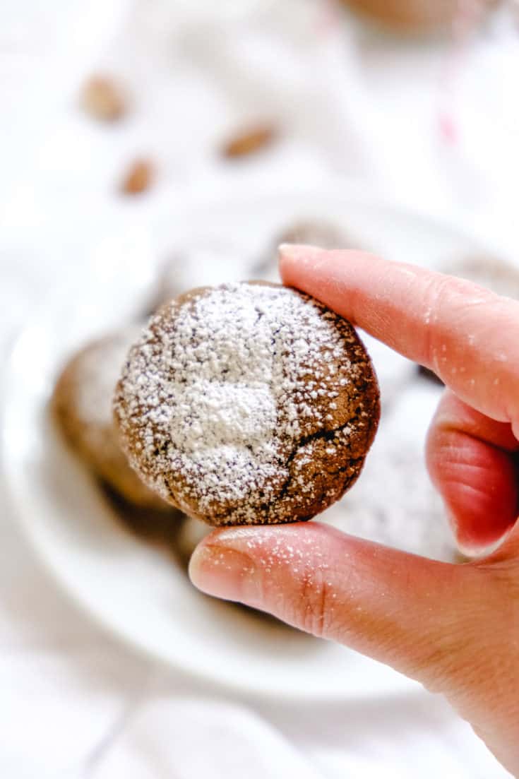 Dutch Speculaas Spices Cookies (the Best Dutch Christmas Cookies ...