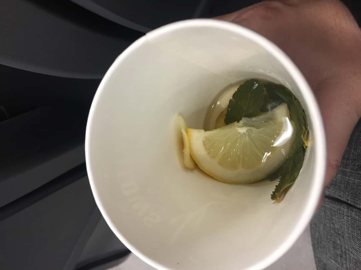 Lemon Ginger Mint Tea Recipe: the Best German Tea I Had in Germany ...