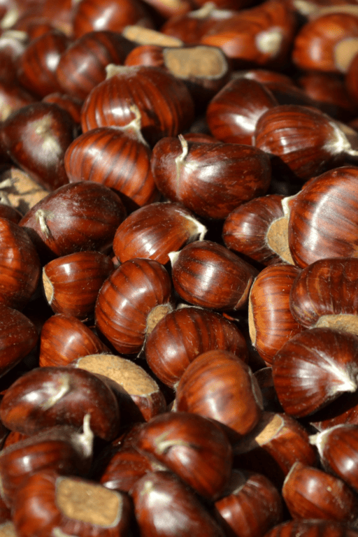 Easy Oven Roasted Chestnuts - International Desserts Blog