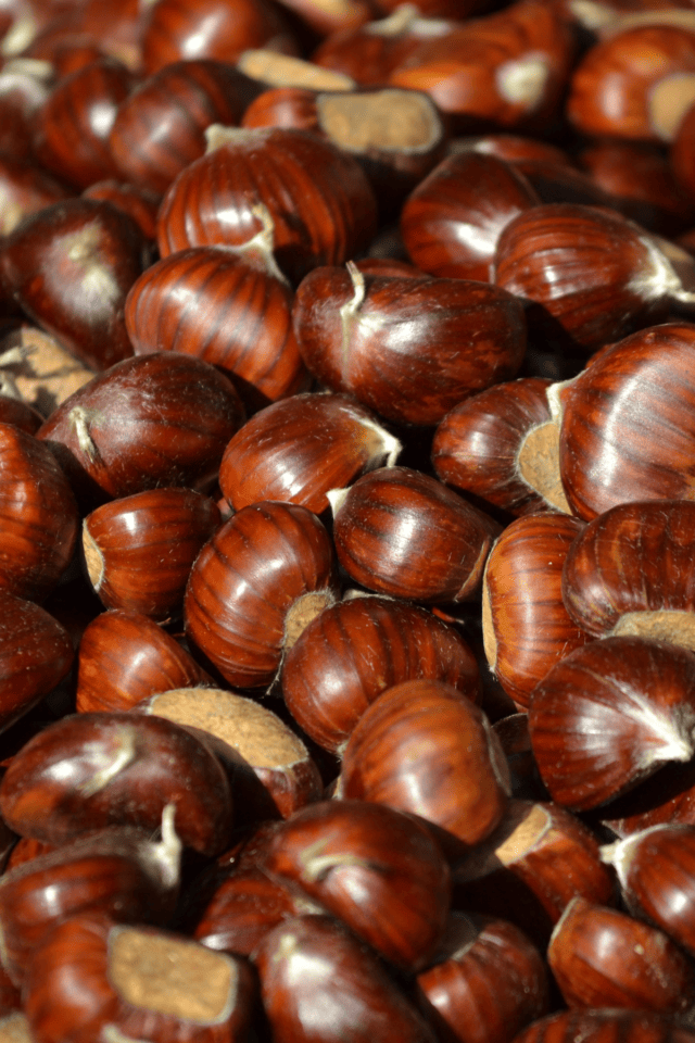 Easy Oven Roasted Chestnuts - International Desserts Blog